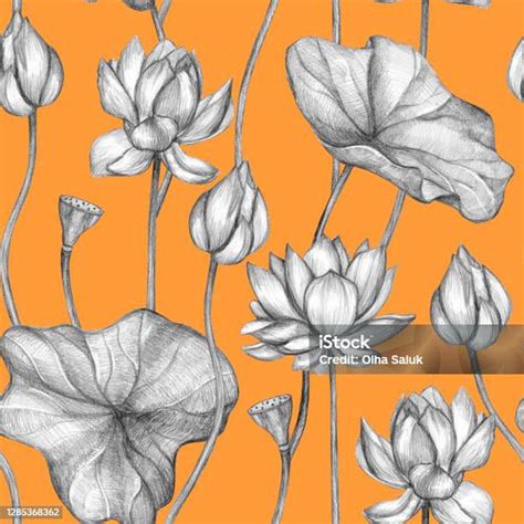 꽃의 흑백 연필 식물 스케치의 원활한 패턴 노란색 배경에 손으로 그린 연꽃 빈티지 스타일 식물 벽지 포장지 직물 엽서 포스터 등