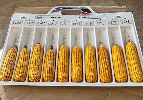 Yield Data Illinois Yield Plot Information S H Seed Service