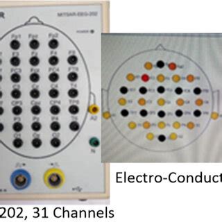 EEG Instrument For Experiment Download Scientific Diagram