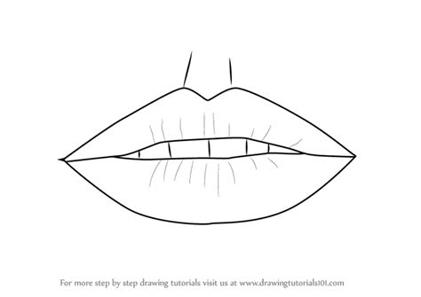 How To Draw Realistic Lips With Pencils Lips Step By Step