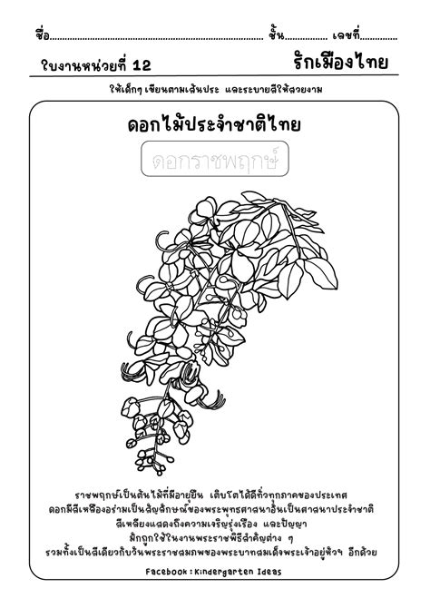 Kindergarten ใบงานหน่วยที่ 12 รักเมืองไทย นำไปใช้ได้เลยนะคะ 😍 ใบงานรักเมืองไทย ใบงานอาหารไทย