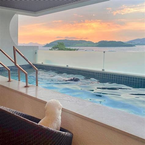 반려생활 바다 보면서 수영하는 여수 애견동반 풀빌라 Best 3