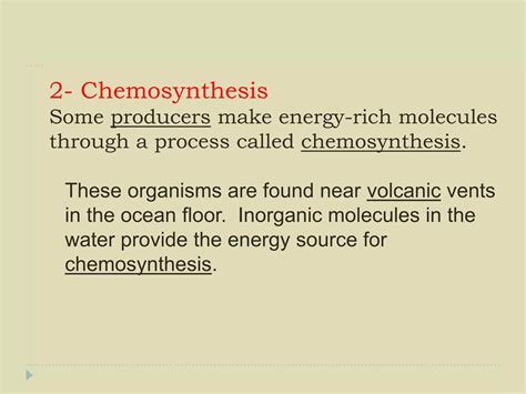 Photosynthesis And Chemosynthesis Pptx
