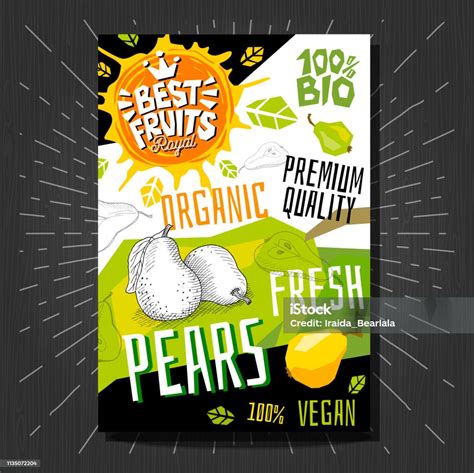 식품 라벨 스티커 세트 다채로운 스케치 스타일 과일 향신료 야채 패키지 디자인 손으로 그린 벡터 일러스트입니다 0명에 대한 스톡 벡터 아트 및 기타 이미지 Istock