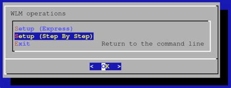 How Should I Set Up Slurm On A Dgx Cluster Bright Cluster Manager