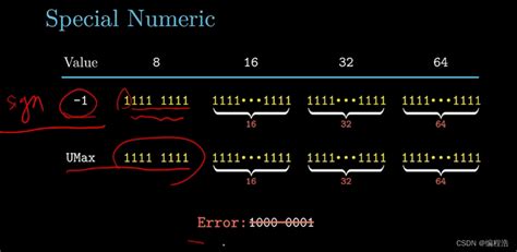 【80天学习完《深入理解计算机系统》】第二天 22 整数的表示【有符号数，无符号数，符号数的扩展，有无符号数的转变】九曲阑干 深入理解