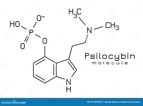 Psilocybin Molecule Molecular Structure Psychedelic Prodrug Ball And Stick 3d Model