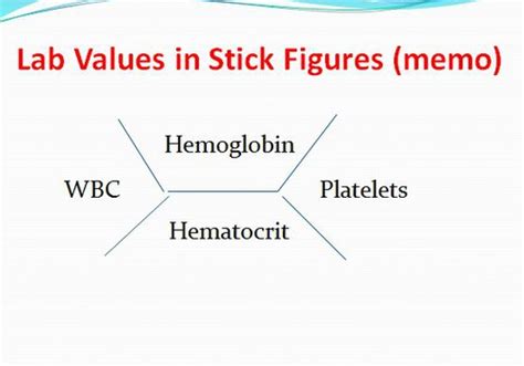CMP Exam Flashcards Quizlet