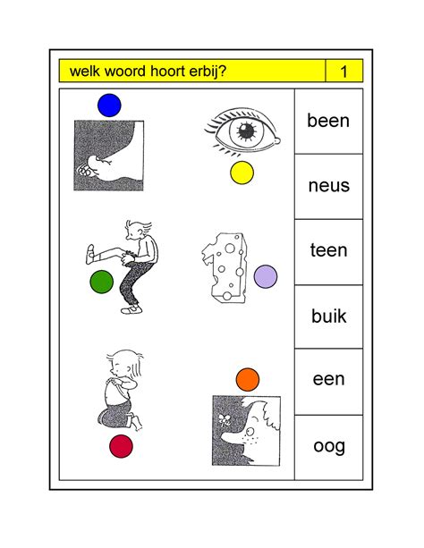 Pico Piccolo Kern 2 Welk Woord Hoort Erbij 1 Been Neus Teen Buik Een Oog Antwoorden 1 Been