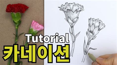 펜으로 카네이션 그리기 수채화로 채색까지 Tutorial 5월 어버이날 스승의날 감사카드 스케치 Youtube