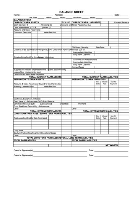 Fsa Type Balance Sheet Farm Printable Pdf Download
