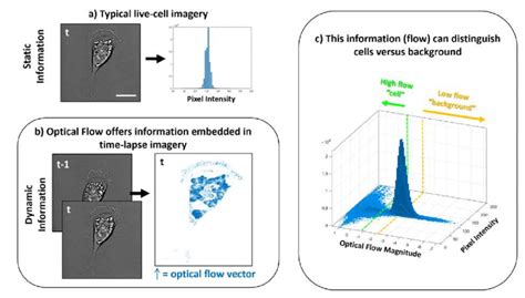 Overview Of The Optical Flow Self Labeling Strategy A The Vast