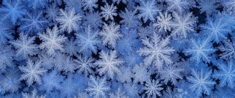 Winter Forest Snowflake Patterns In Bright Colours Stable Diffusion Winter Forest Snowflake Patterns In Bright Colours Stable Diffusion