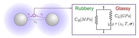 Within The Glassy Bridge There Is A Local Non Linear Viscoelasticity
