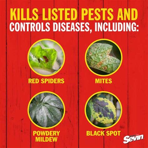 Sevin 1 Gallon Zeta Insect Killer Trigger Spray 1349901034 At