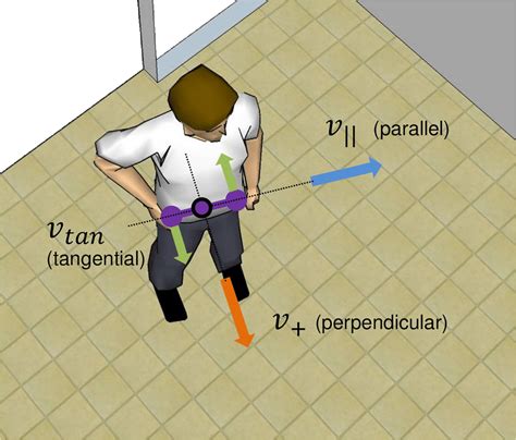 Illustration Of The Torso Coordinate System The Complete 6 Dimensional