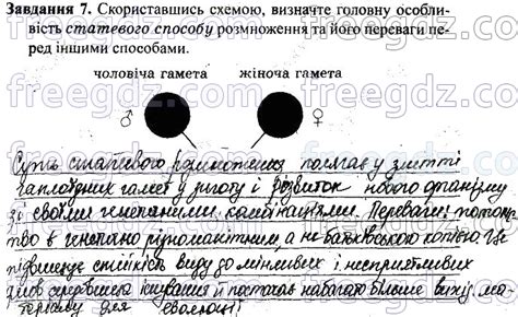 ГДЗ відповіді та розвязання до вправи №7 Практична робота № 4 Порівняння будови та процесу