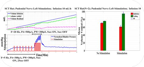 Bladder Pressure And Voiding Responses Evoked By Different Patterns Download Scientific Diagram