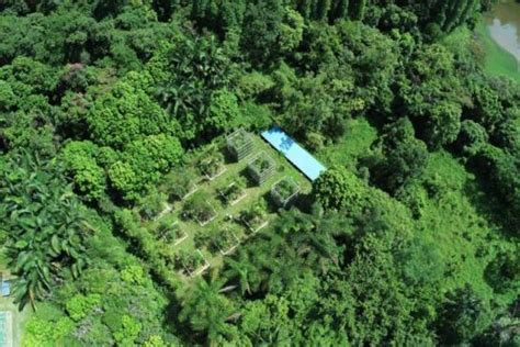 广东鼎湖山森林生态系统国家野外科学观测研究站