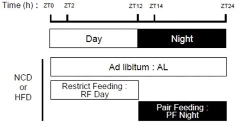 The Ad Libitum Al Group Was Freely Exposed To Food The Feeding Download Scientific Diagram