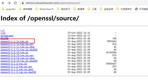 Linux升级安装openssl UTS 使用指南