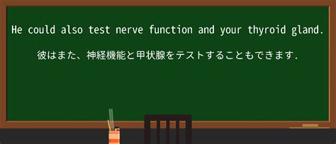 【英単語】nerve Functionを徹底解説!意味、使い方、例文、読み方 【英単語】nerve Functionを徹底解説!意味、使い方、例文、読み方