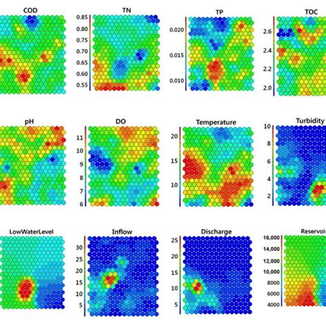 Self Organizing Map For Sampling Site T1 Download Scientific Diagram