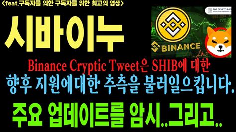 시바이누 시바이누코인 시바이누코인전망 코인전망 비트코인 이더리움 도지코인 Youtube