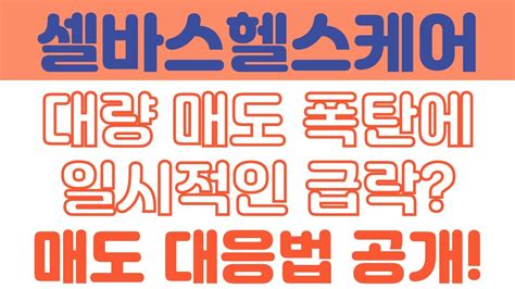 셀바스헬스케어 주가전망 일시적 급락 매도 대응법 공개 Youtube
