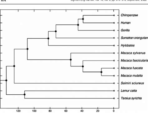 Figure 2 From A New Feature Vector Model For Alignment Free Dna Sequence Similarity Analysis