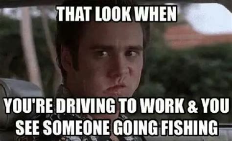30 Funny Fishing Memes For Guaranteed Giggle Sheideas