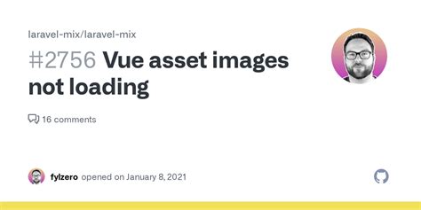 Vue Asset Images Not Loading · Issue 2756 · Laravel Mixlaravel Mix