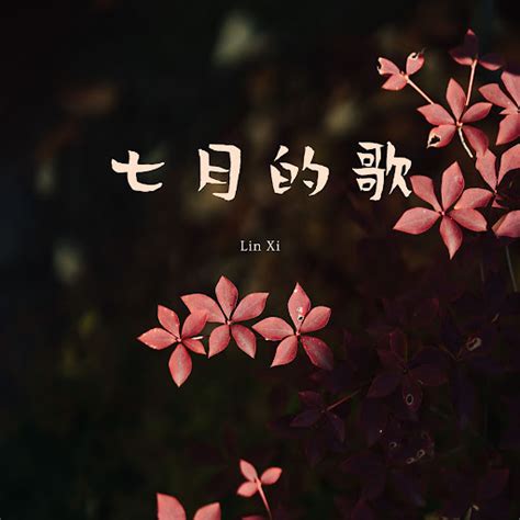 碰花碰草别碰情 YouTube Music