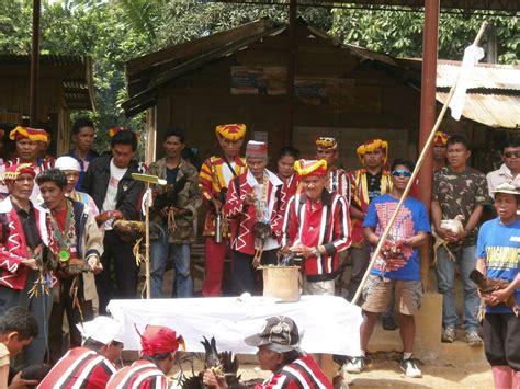 This Is The Story Of The Higaonon Tribe In The Philippines By Ekow
