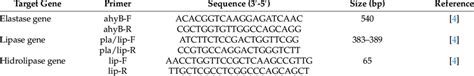 Primer Sets For The Detection Of Virulence Genes In P Shigelloides Download Scientific Diagram