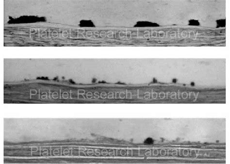 Scientific Interest Platelet Research Laboratory