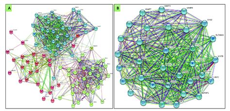 Protein Protein Interaction Network Of 51 Selected Genes A Top 3