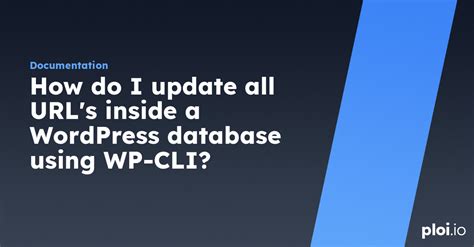 How Do I Update All Urls Inside A Wordpress Database Using Wp Cli Server Management Tool