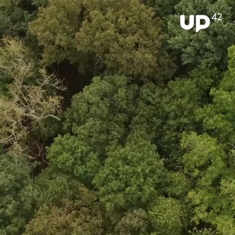 Mehani Jacquin Posted On Linkedin