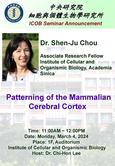 Patterning Of The Mammalian Cerebral Cortex｜institute Of Cellular And Organismic Biology