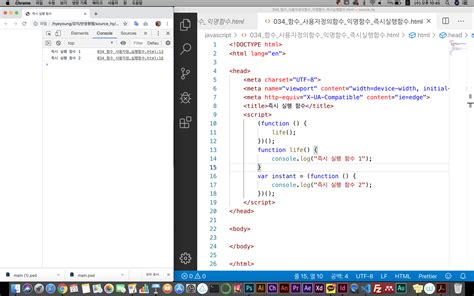자바스크립트 기초 오늘의 마늘미션 034 함수 사용자 정의 함수 익명함수 즉시 실행 함수 Library