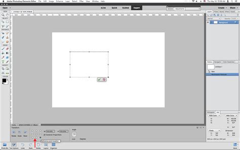 How To Move Pivot Point In Photoshop Elements 2020 Adobe Product Community 11125359