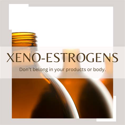 Xeno Estrogens Which Mimic Estrogen In The Human Body And Are