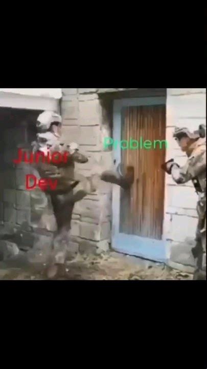 Random Coding Memes Pt 17 Shorts Youtubeshorts Programming Program Coding Code Codingmeme