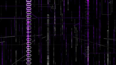 Binary Black Purple Wallpaper