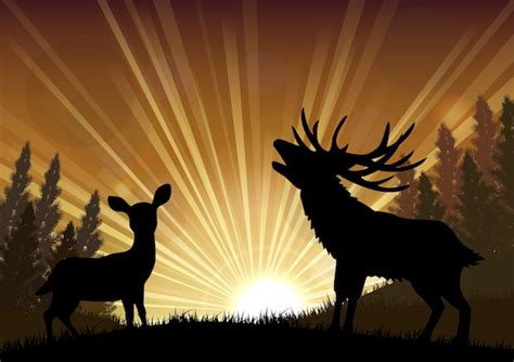 Silhouette Un Cerf La Position Dans Le Crépuscule Lumineux Vecteur Premium