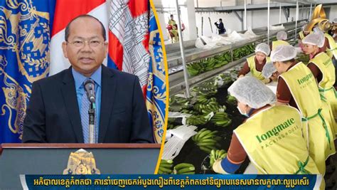 អភិបាលខេត្តកំពតថា ការនាំចេញចេកអំបូងលឿងពីខេត្តកំពតទៅទីផ្សារបរទេសមានលក្ខណៈល្អប្រសើរ