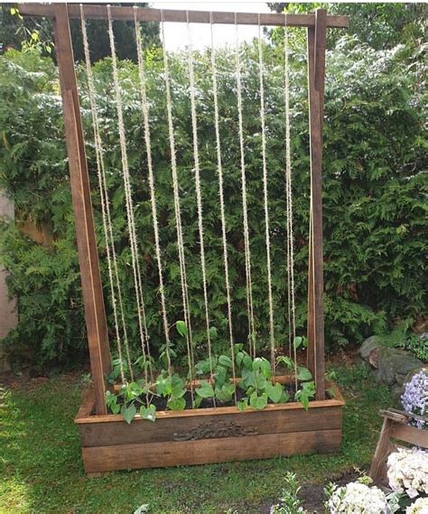 15 Easy Diy Cucumber Trellis Ideas Artofit