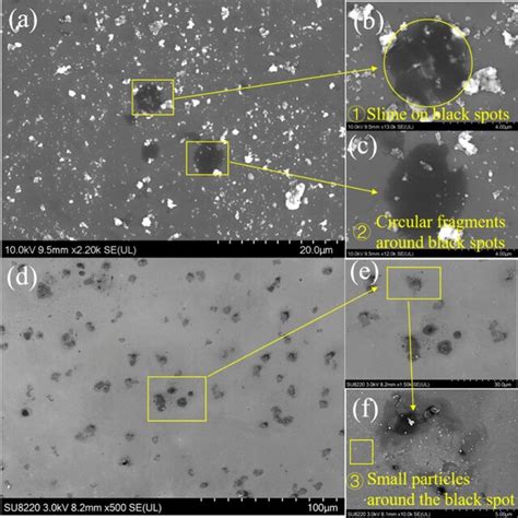 SEM Image A Overall Image Of Black Spot B C Enlarged Download Scientific