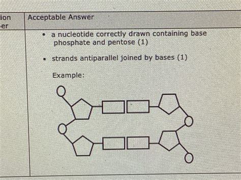 Biology As Past Papers Flashcards Quizlet